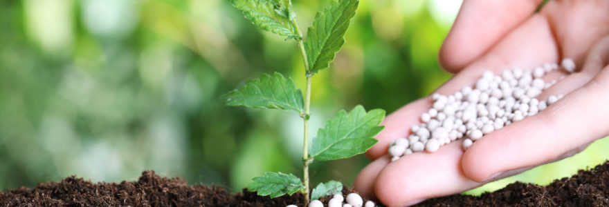 Comprendre les différents engrais en agriculture : organiques, minéraux ...